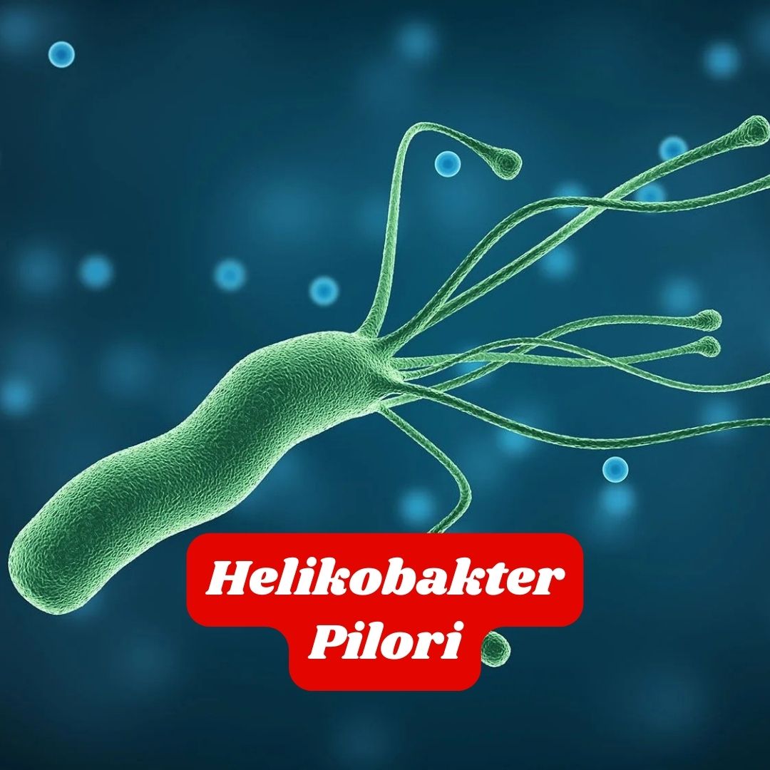 Helikobakter Pilori Nedir? - NBT İlaç