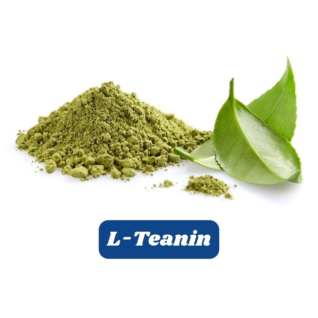 L Teanin Nedir? L-Teanin Ne İşe Yarar? - NBT İlaç