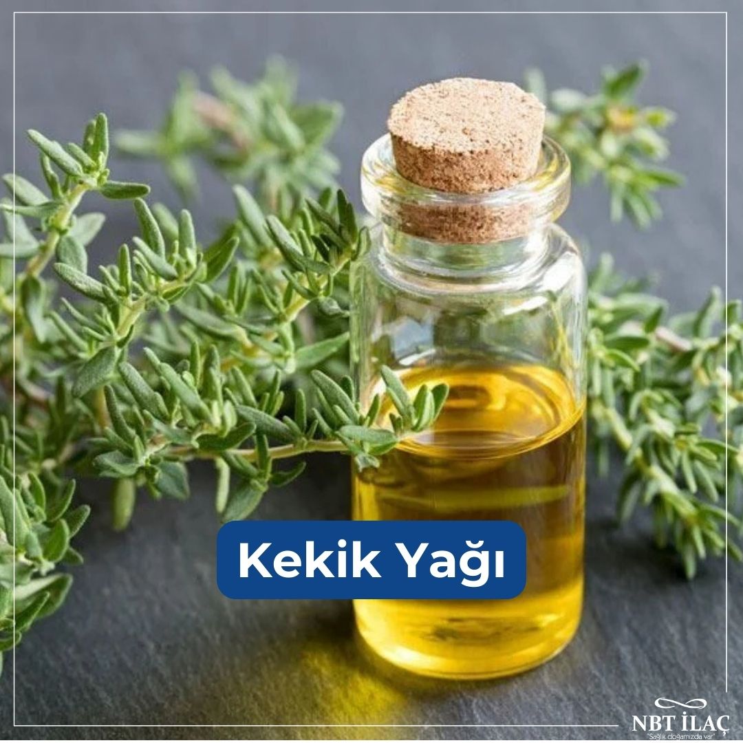 Kekik Yağı Ne İşe Yarar? Kekik Yağı Nasıl Kullanılır? - NBT İlaç