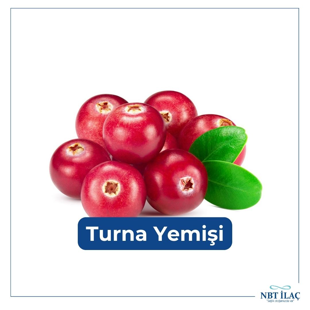 Turna Yemişi (Cranberry) Nedir? Turna Yemişi Yararları - NBT İlaç