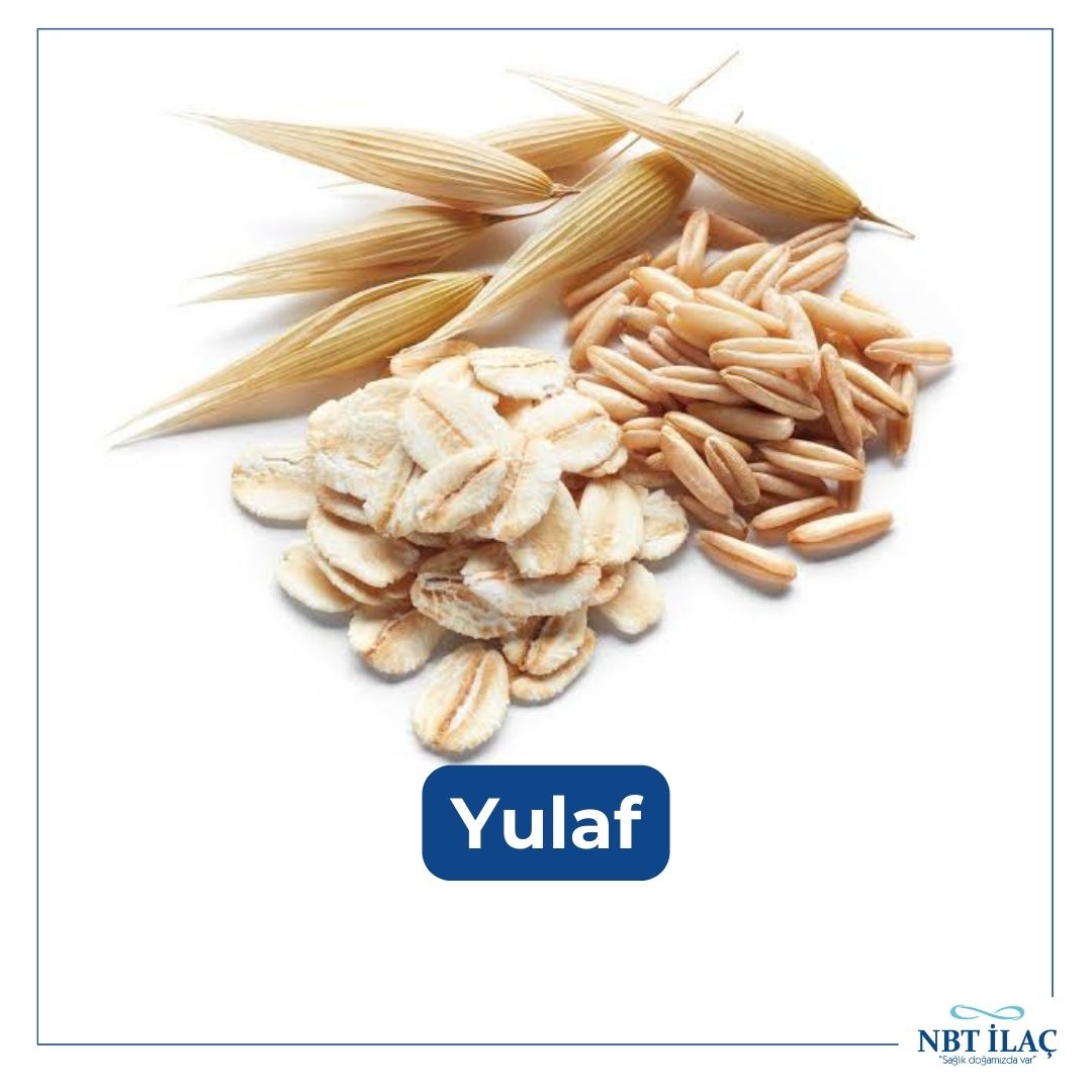 Yulaf Nedir? Yulaf Ne İşe Yarar? Kilo Aldırır mı? - NBT İlaç