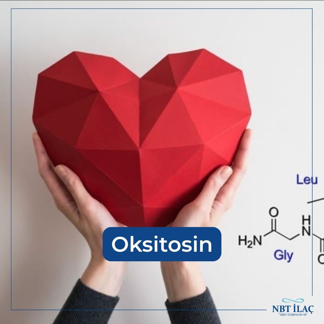 Aşk Hormonu - Oksitosin Nedir? - Oksitosin Hormonu - NBT İlaç
